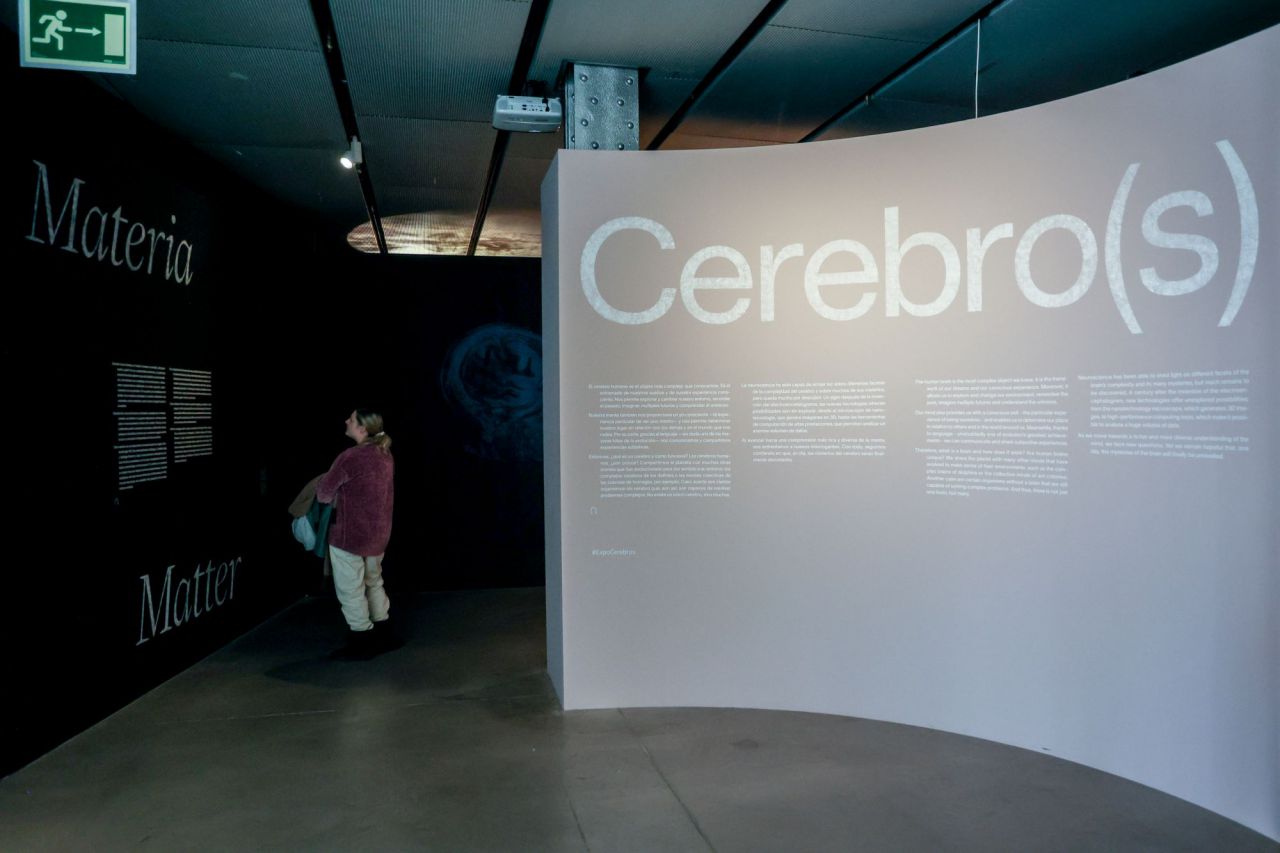 Galería Madridiario - Exposición 'Cerebro(s)' en Espacio Fundación ...