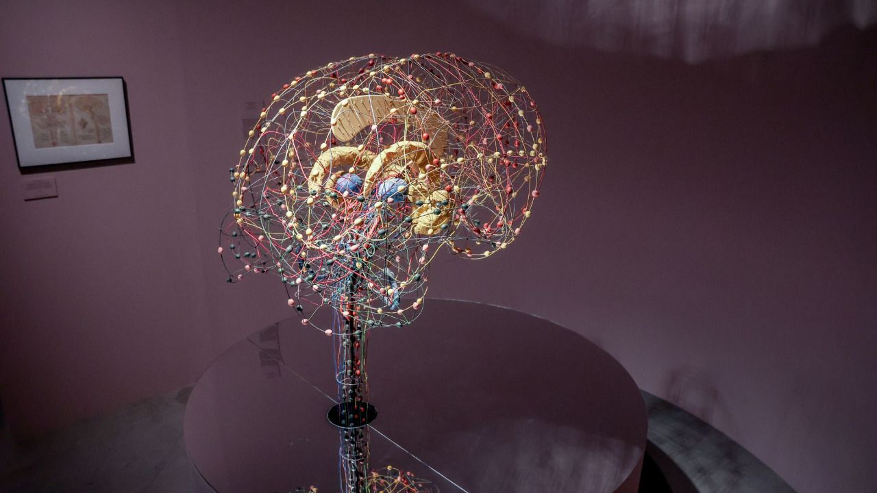 Espacio Fundación Telefónica presenta la exposición ‘Cerebro(s ...