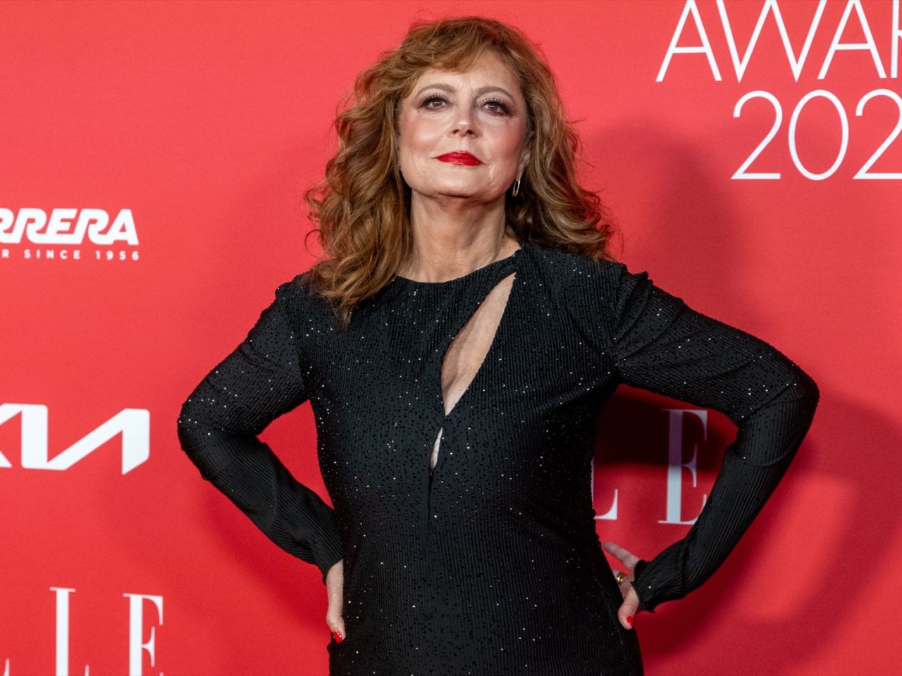 Susan Sarandon recibirá el Goya Internacional 2026 | Madridiario